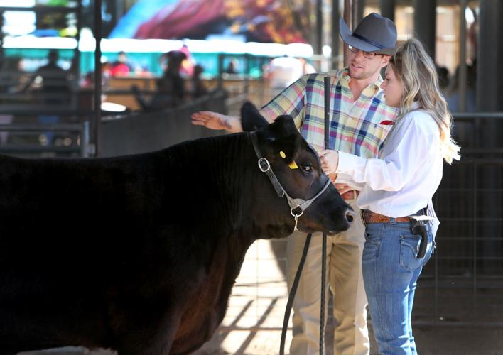Pinal County Fair 3/20/19 | Featured | pinalcentral.com