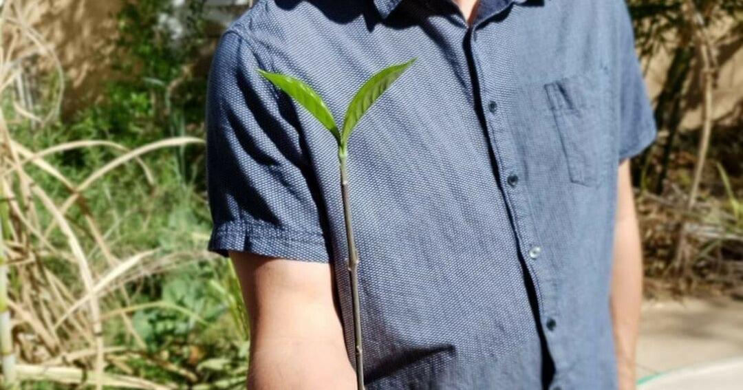 Isa Garden Charities giving out seeds | Casa Grande Area News ...
