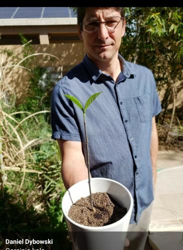 Isa Garden Charities giving out seeds | Casa Grande Area News ...