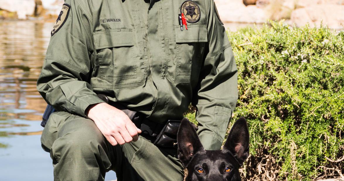 PCSO to get new dog vests | News | pinalcentral.com