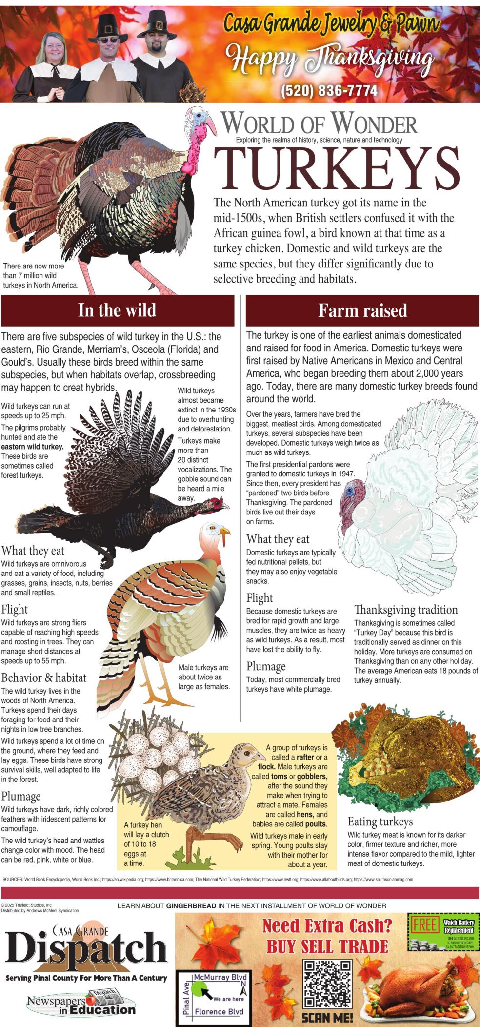 NIE, 11/25/25 | Newspapers In Education | pinalcentral.com