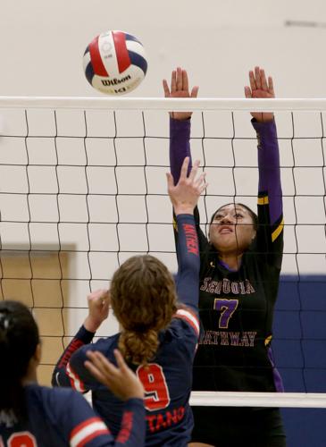 Titans volleyball still learning the game in second season | Sports ...