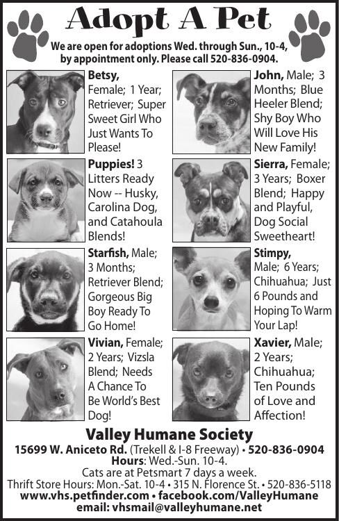 Valley Humane Society, 5/6/21 | Adopt A Pet | pinalcentral.com