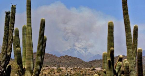 Arizona becomes first state to issue wildfire smoke forecast | Arizona ...