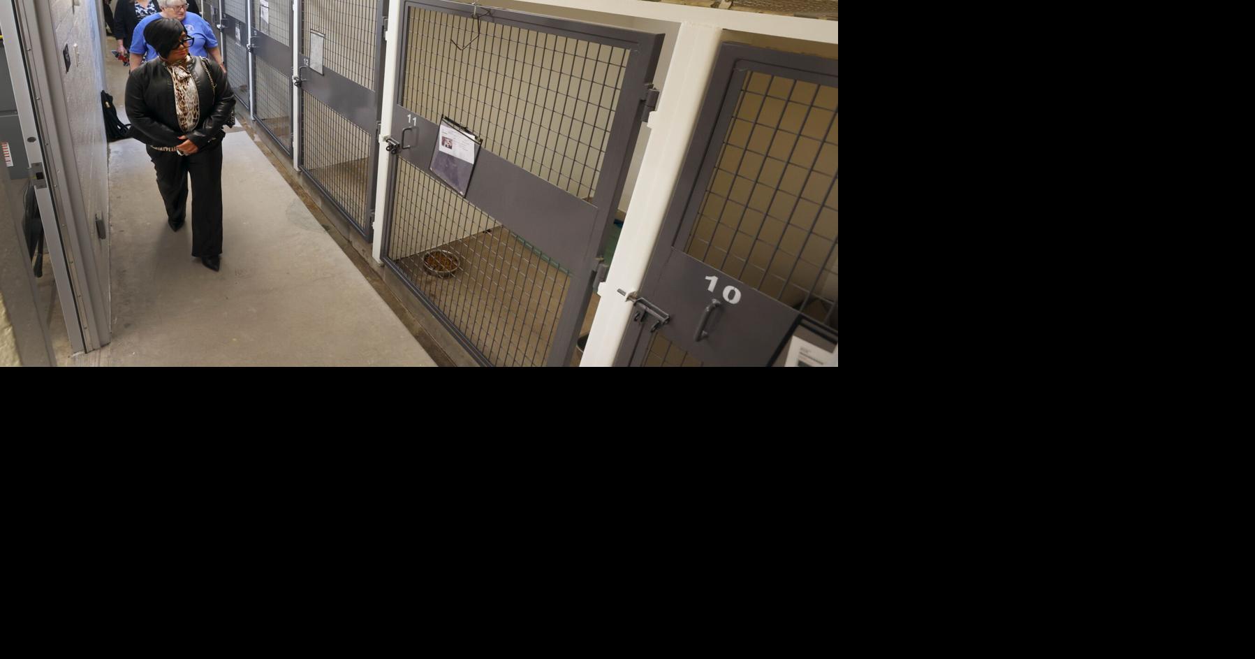 Pinal Animal Control taking precautions after distemper infection ...