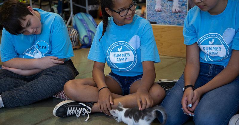 Children turn into animal caregivers at summer camp | Arizona News ...