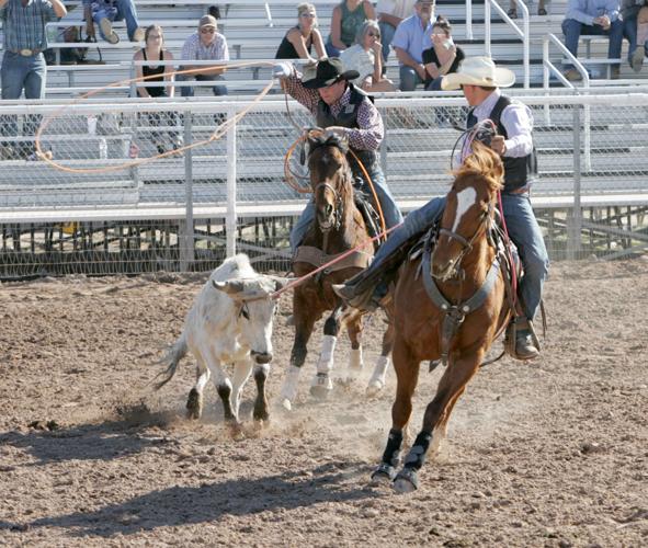 Central Arizona College rodeo 3/12/17 | Featured | pinalcentral.com