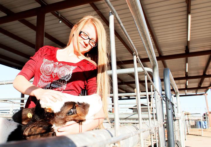 New FFA barn at Coolidge High School | Featured | pinalcentral.com
