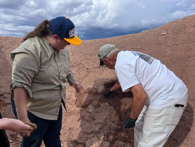 Volunteers throw mud to preserve ancient artifact in Phoenix | Arizona ...