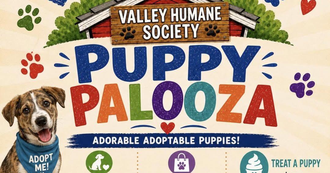 VHS plans Puppy Palooza event | Recreation & Entertainment ...