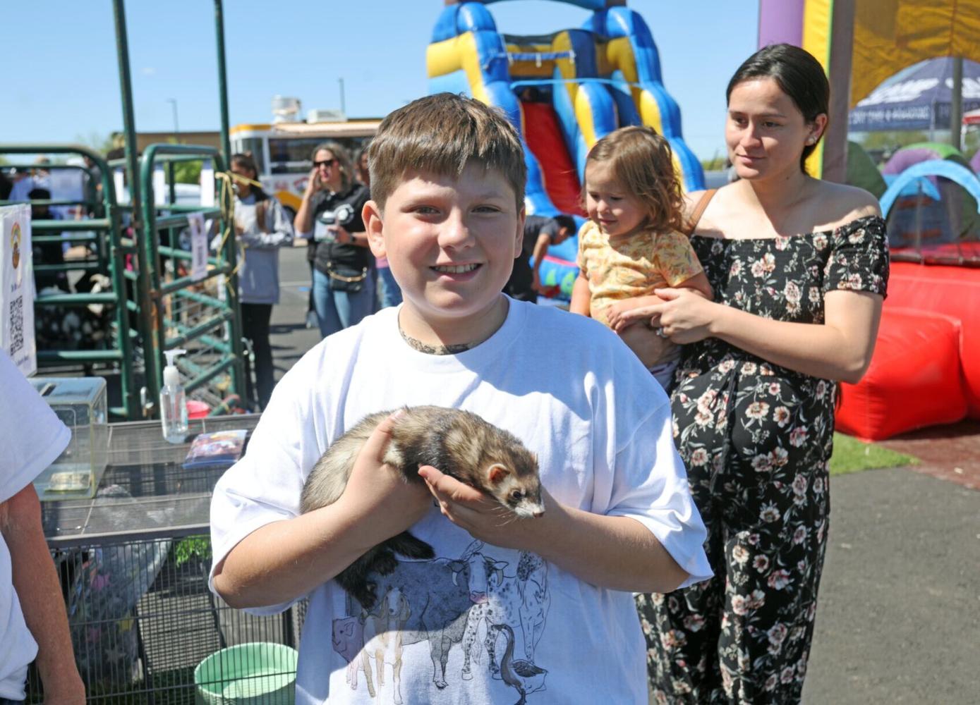 Copa Paws & Claws brings pets and pet fans together for fun | Copacetic ...