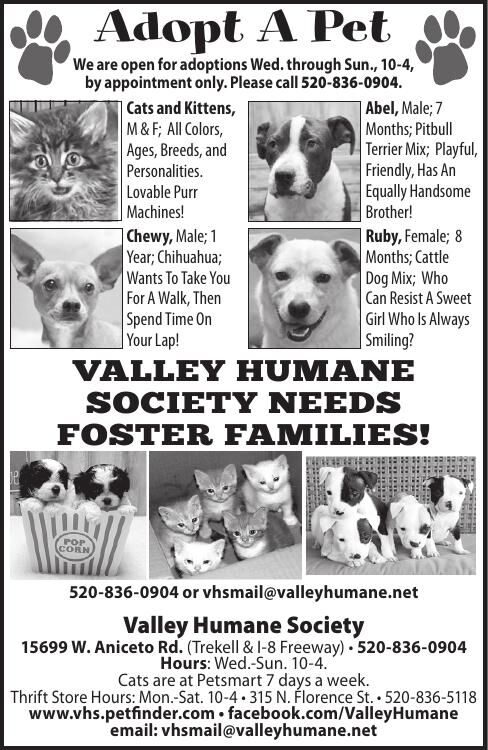 Valley Humane Society, 11/3/22 | Adopt A Pet | pinalcentral.com