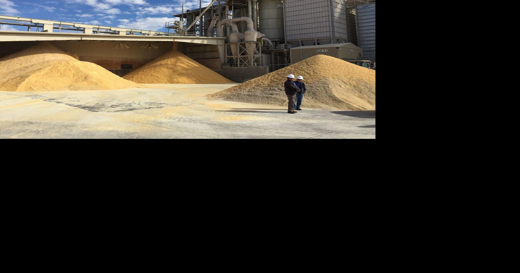 Maricopa ethanol plant Pinal Energy turns corn into fuel, cattle feed ...