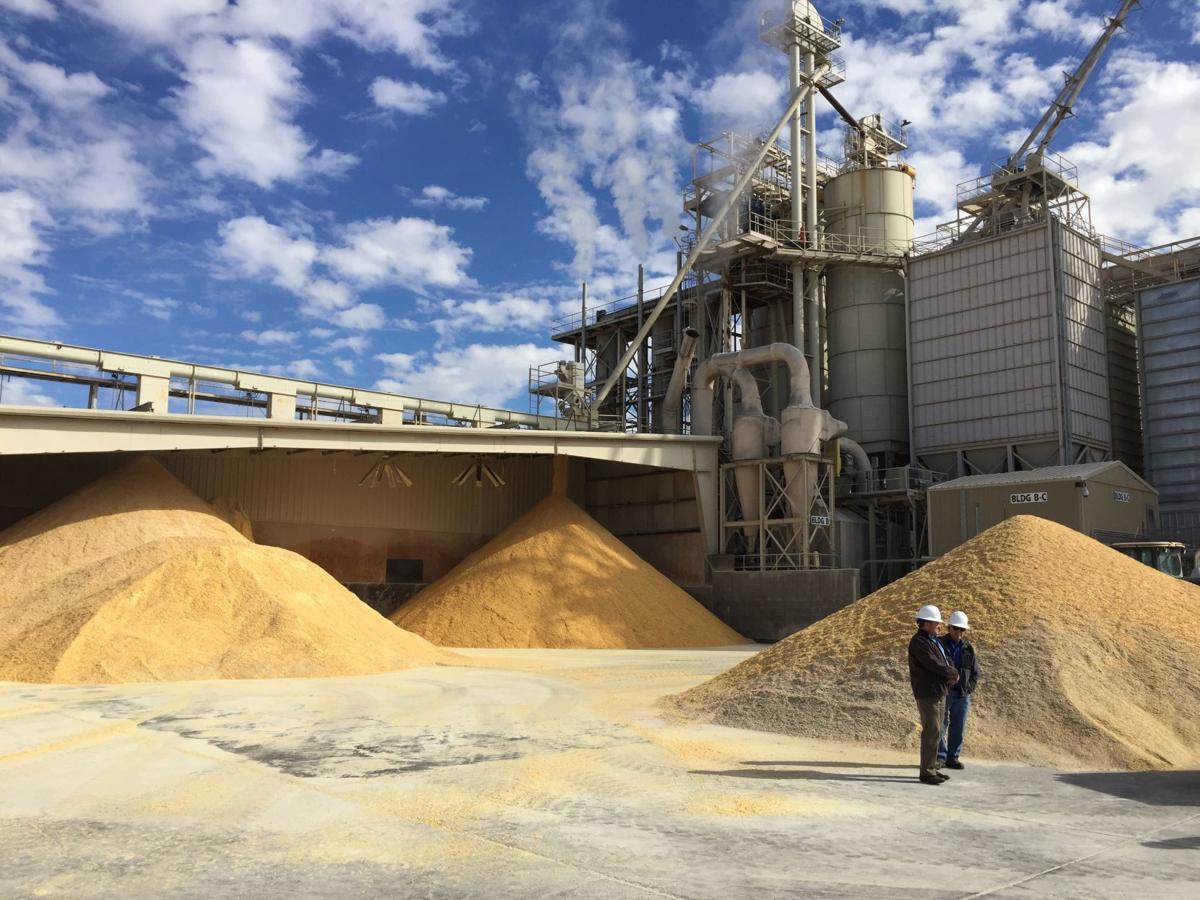 Maricopa ethanol plant Pinal Energy turns corn into fuel, cattle feed ...
