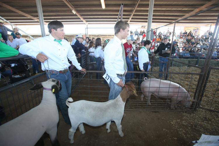 Pinal County Fair | Featured | pinalcentral.com