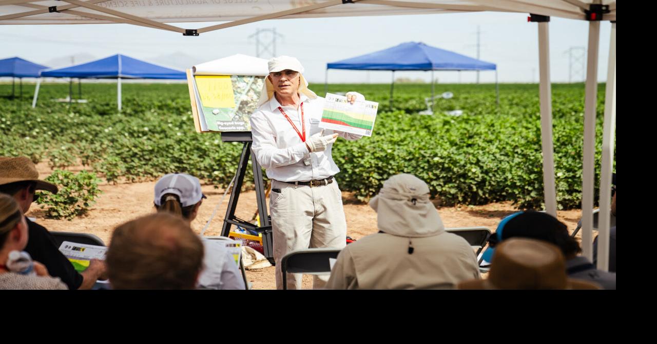 Ag science has meant less pesticide use | News | pinalcentral.com