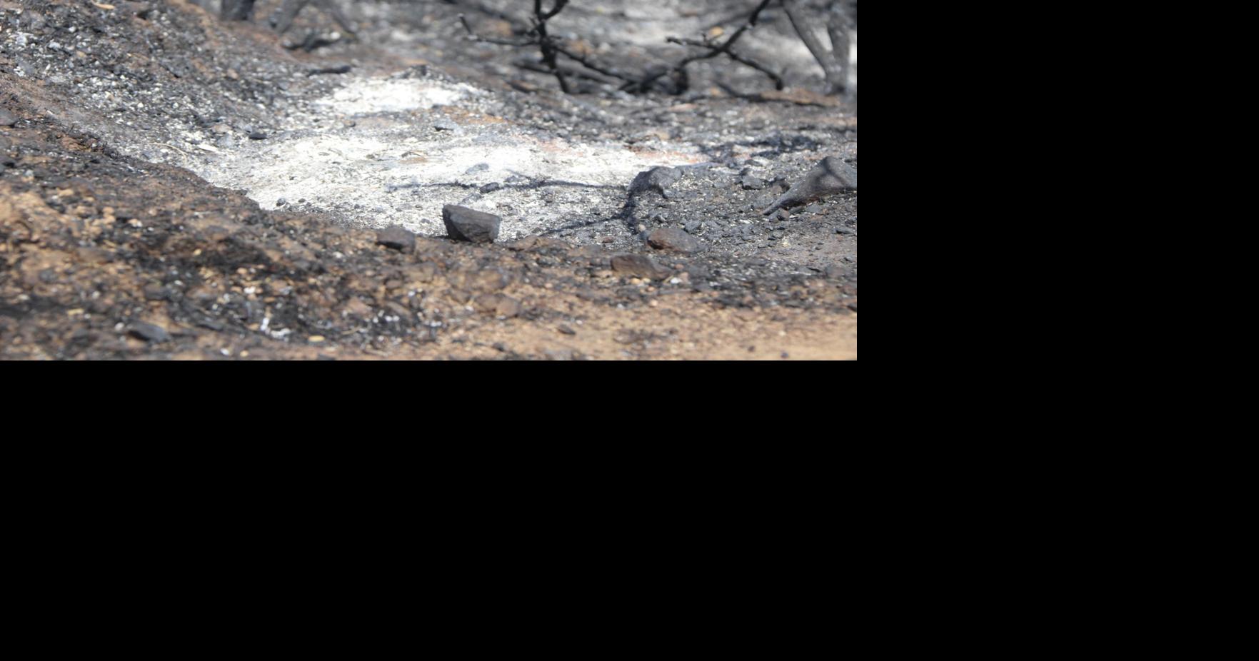 Telegraph Fire Damages 6/25/21 | News | pinalcentral.com