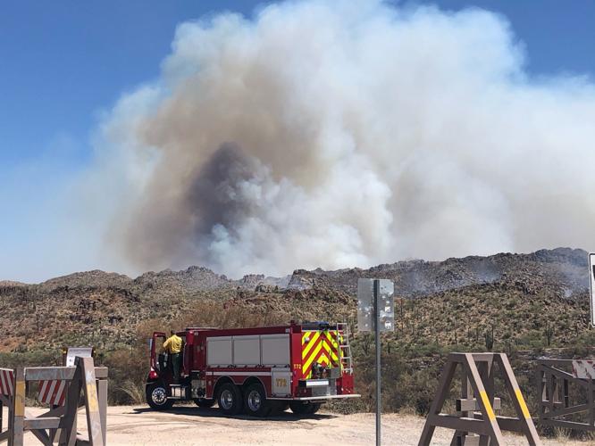 Bush Fire caused extensive damage to highway | Arizona News ...