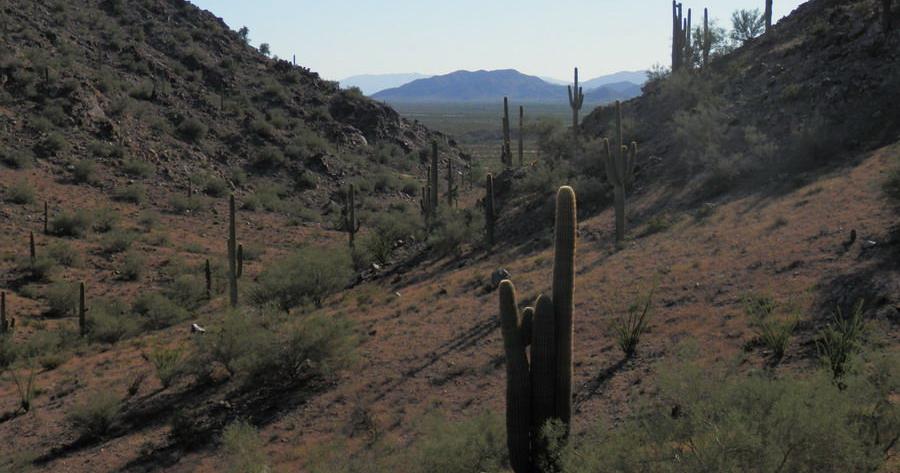 Controversial Pinal park gets go-ahead | Area News | pinalcentral.com