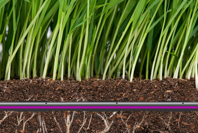 Gibson: Subsurface drip irrigation works on turf | Home And Hearth ...