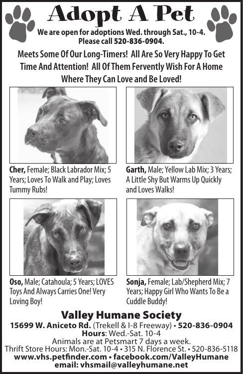 Valley Humane Society, // | Adopt A Pet | pinalcentral.com