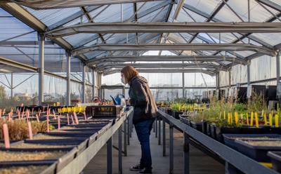 Extinction is forever: Seed banks build biodiversity in the face of ...