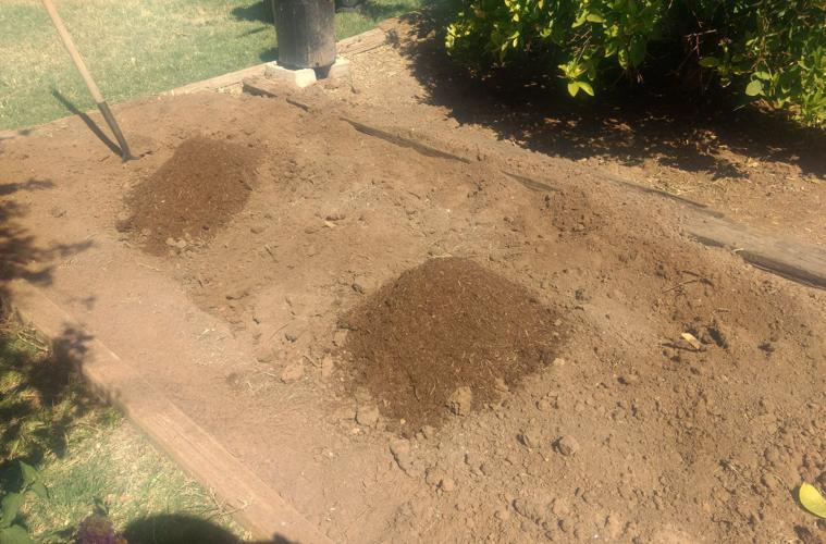 Gibson: The benefits of double-digging garden beds | Home And Hearth ...