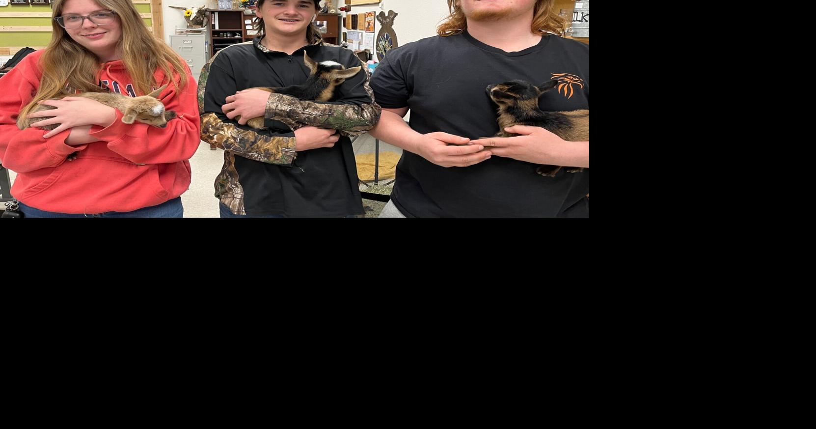 Animal breeding projects are 'big learning experience' in Florence ...