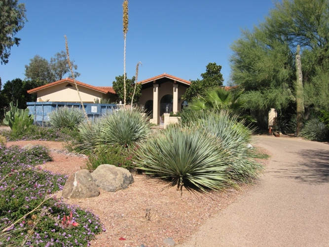 Gibson: Using accent plants in the landscape | Home And Hearth ...