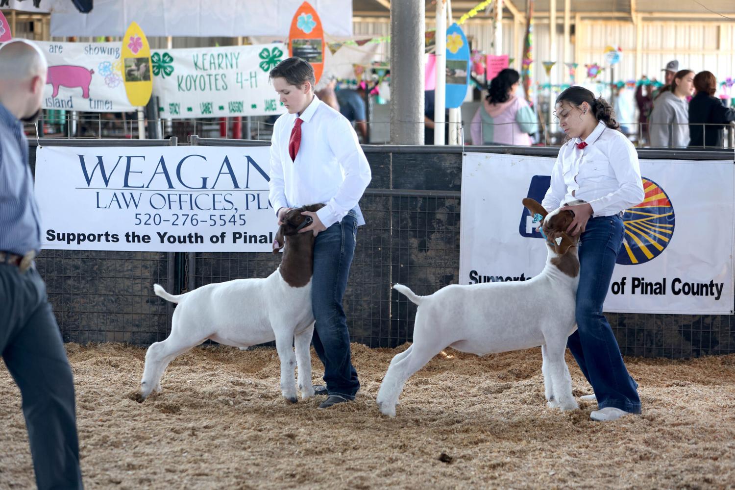 As Pinal County Fair prepares to celebrate 70 years, fairground staff ...