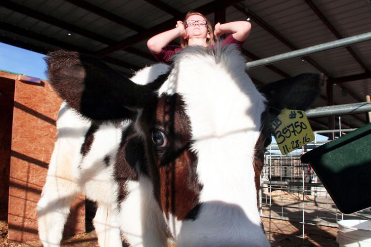New FFA barn at Coolidge High School | Featured | pinalcentral.com