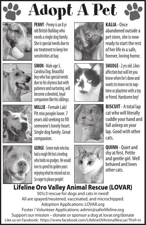 Lifeline Oro Valley Animal Rescue (LOVAR), 7/13/23 | Adopt A Pet ...