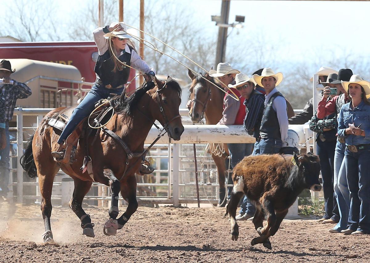 Central Arizona College Rodeo | Featured | pinalcentral.com