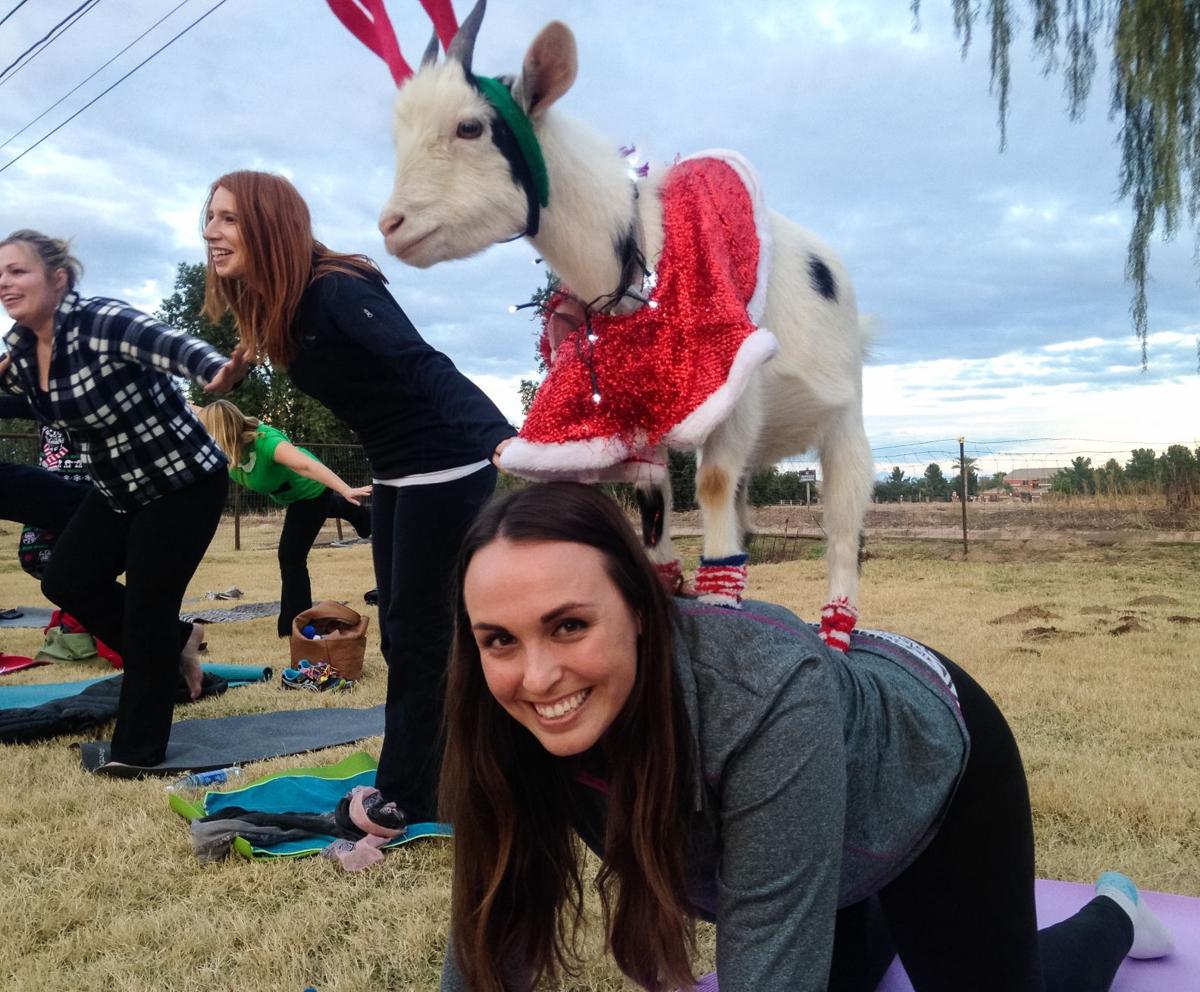 PinalCentral tries goat yoga | News | pinalcentral.com