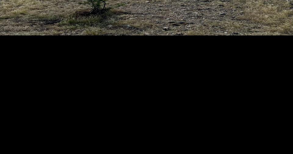 How many mountain ranges are in Pinal? Here are the names of 13 | Pinal ...