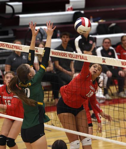 ALA-Ironwood determined to be great after marathon match against ...