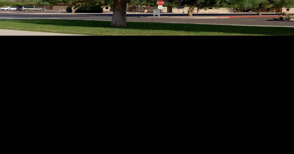 Gibson: Texas root rot | Home And Hearth | pinalcentral.com