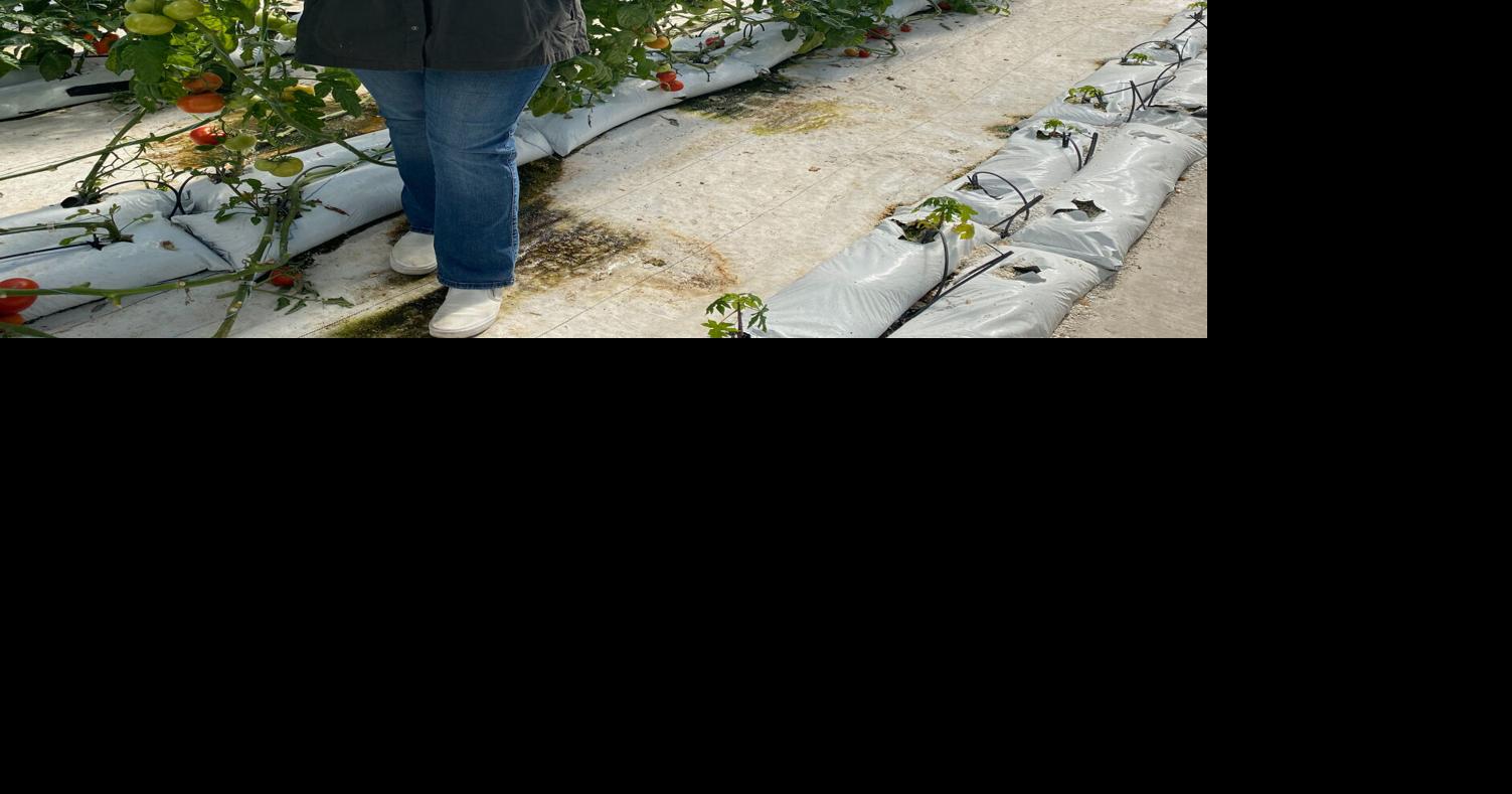 FFA's hydroponics class a success with CG restaurant | Farm And Ranch ...