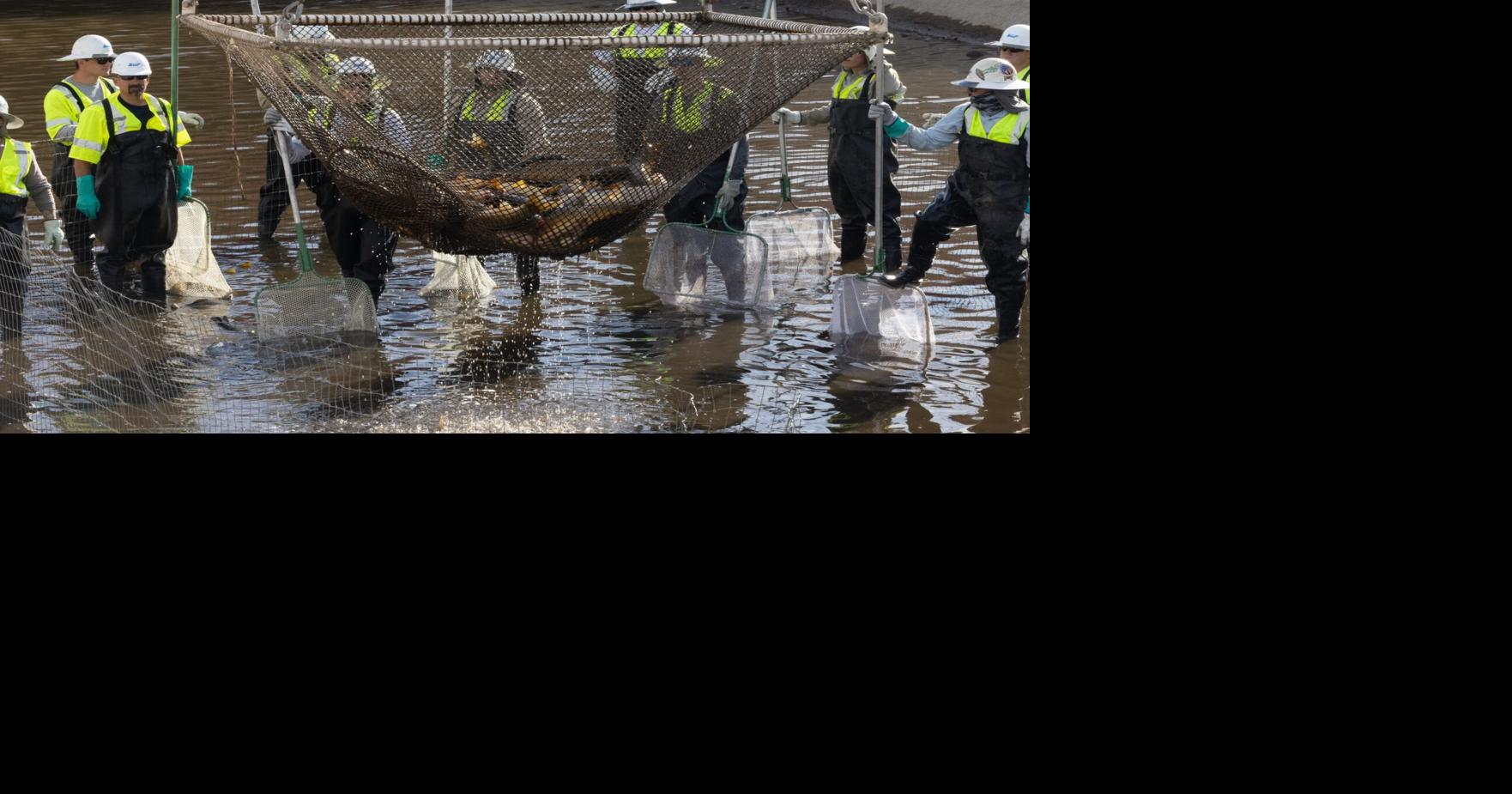 SRP employees band together to clean 10 miles of Salt River canal ...