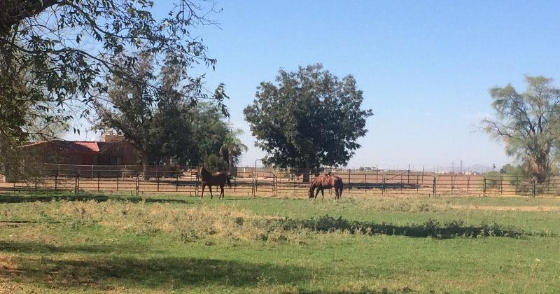 SRP agrees to purchase power from proposed Pinal solar plant | Area ...