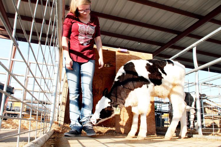 New FFA barn at Coolidge High School | Featured | pinalcentral.com