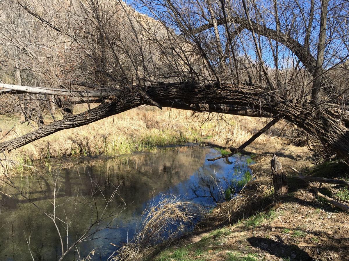 Prescott’s bid to draw more groundwater could threaten Verde River ...