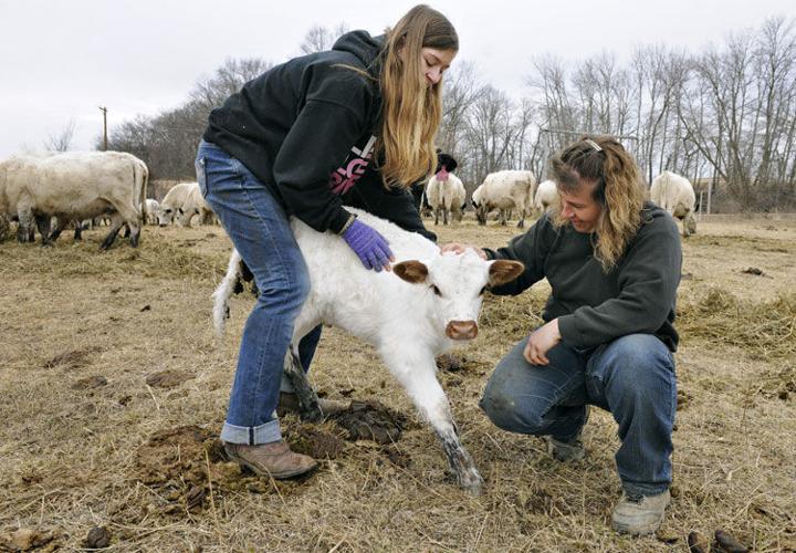 Reducing farming’s footprint | Farm And Ranch | pinalcentral.com