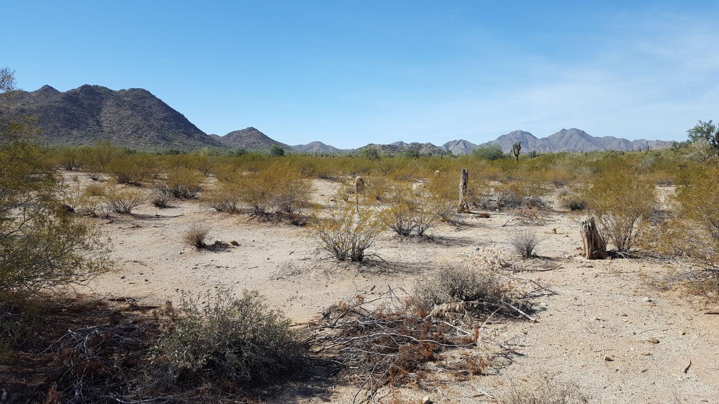 Your guide to San Tan Mountain Regional Park | San Tan Valley Sentinel ...