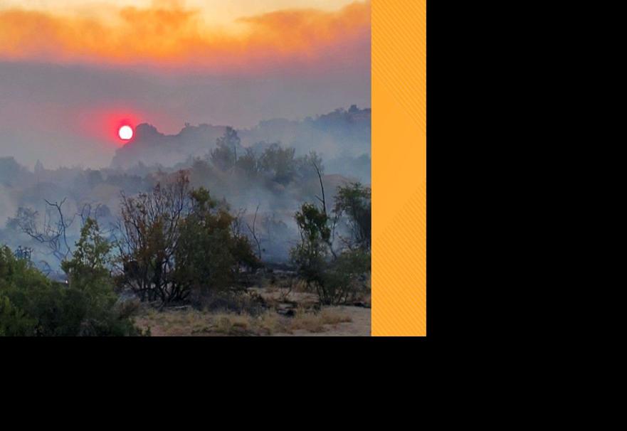 Telegraph Fire Damages 6/25/21 | News Photo Galleries | pinalcentral.com