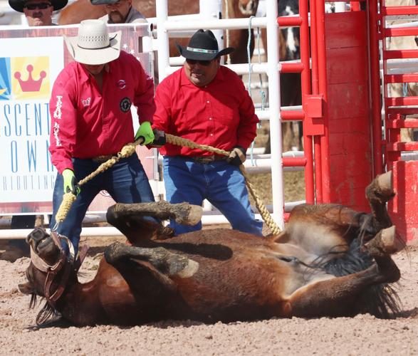 2018 All-Indian Rodeo | News | pinalcentral.com