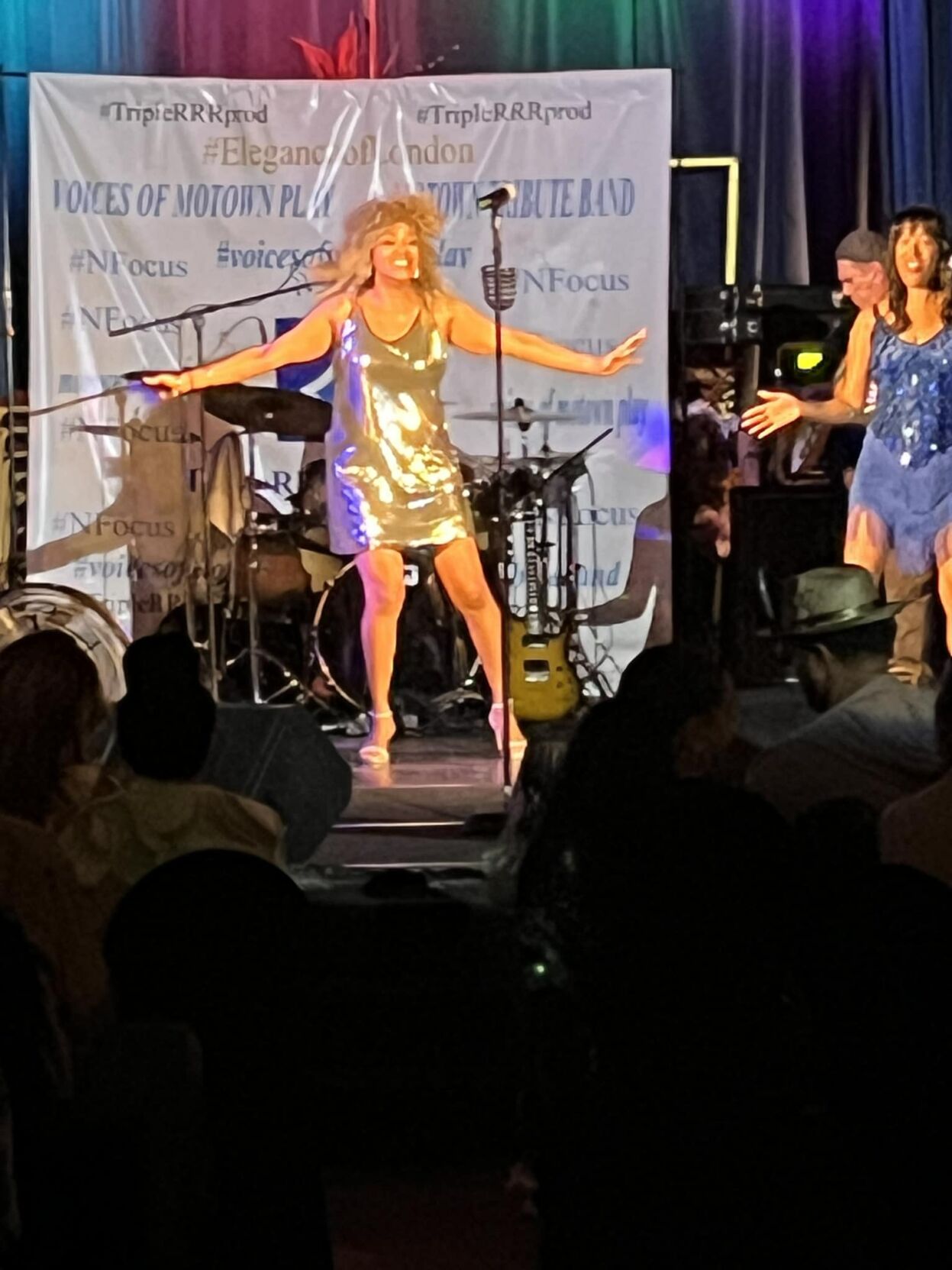 Music of Tina Turner to be feature of dinner show event | Recreation ...
