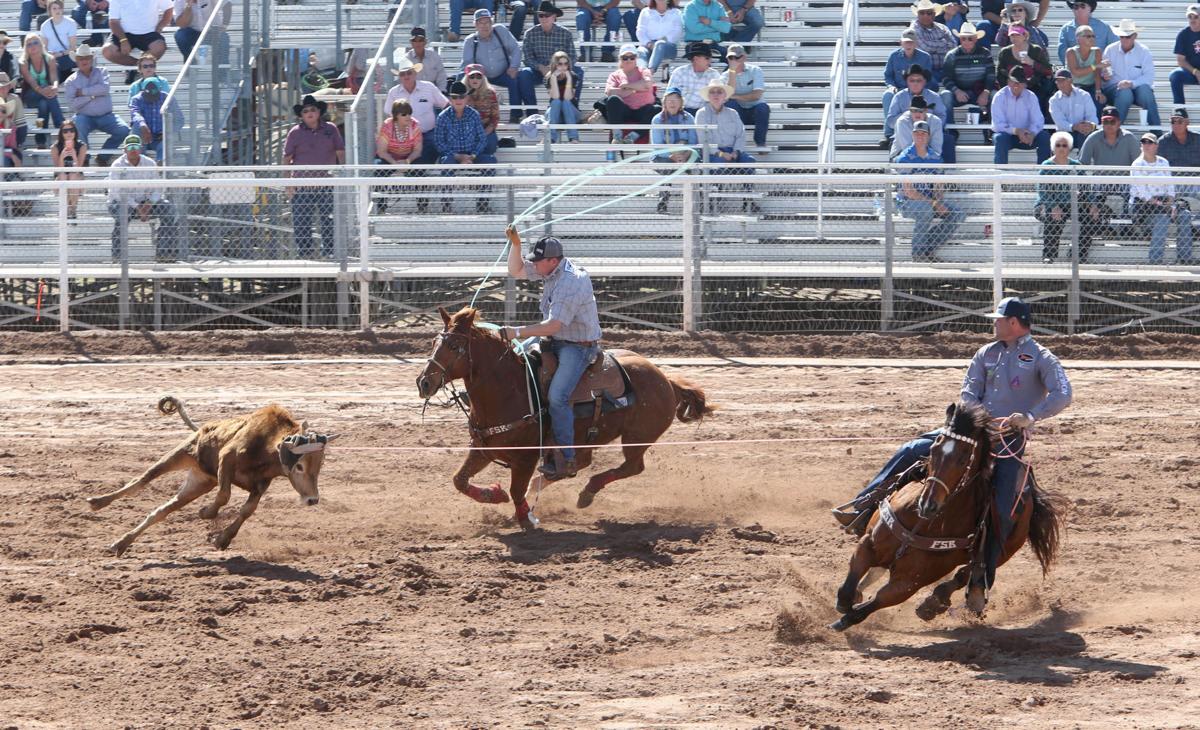 Mike Cervi Jr. Memorial brings out the best ropers | Recreation And ...