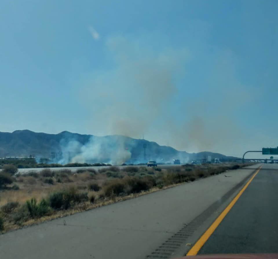 Rattlesnake only casualty in Eloy grass fire | News | pinalcentral.com