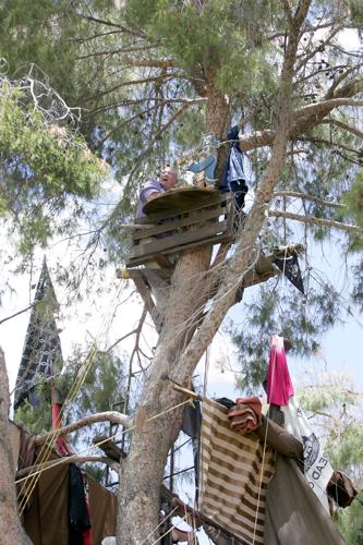 Pirate ship treehouse | Featured | pinalcentral.com